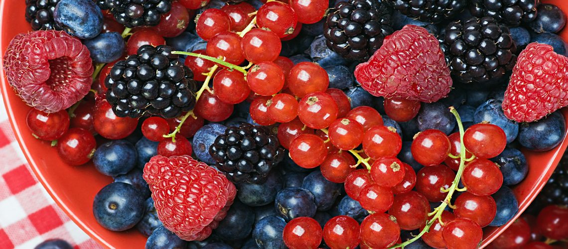 Heidelbeeren, Himbeeren & Co: Diese Beeren findet man im Wald | WWF Blog