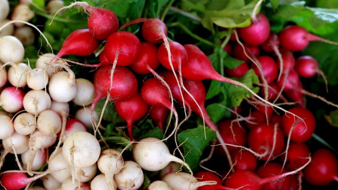 Gemüse des Monats: Radieschen im Mai - WWF Blog