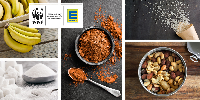 Die EDEKA-WWF-Partnerschaft - Wieso, weshalb, warum