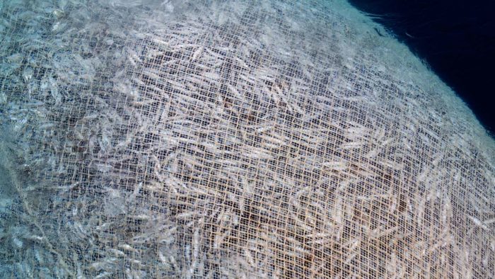 Fischereisubventionen: Leere Worte = leere Meere - WWF Blog