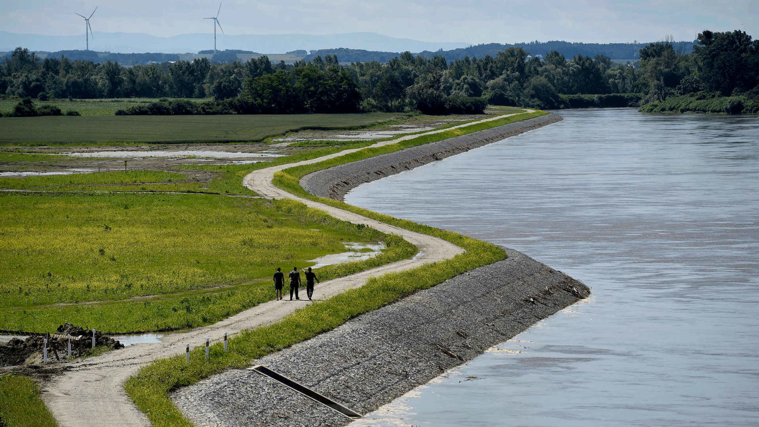 Oder: Flüsse der Missverständnisse - WWF Blog