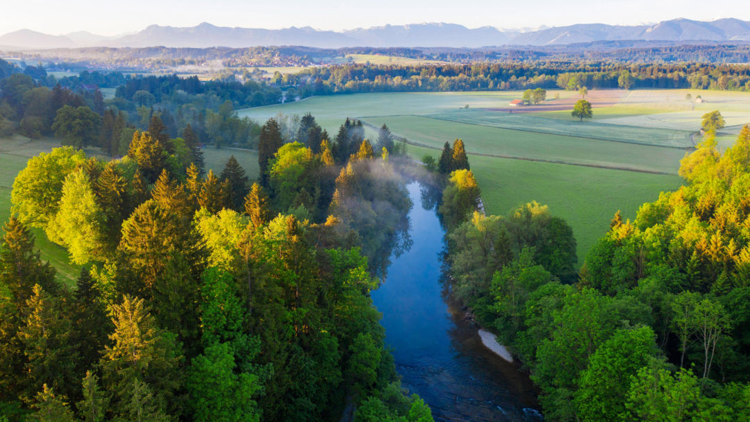 Lasst uns die Flüsse wieder gesund machen! - WWF Blog