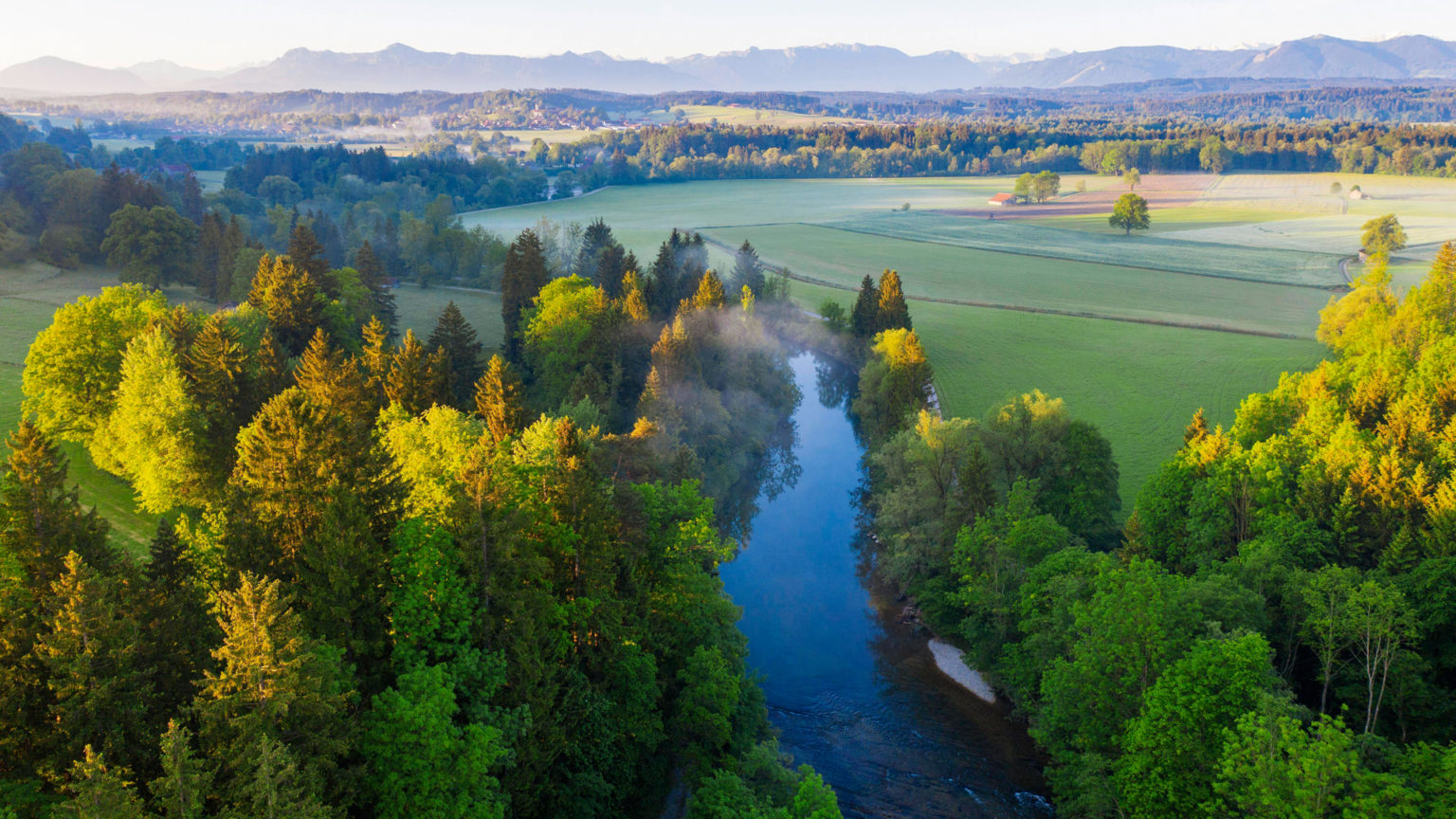 Lasst uns die Flüsse wieder gesund machen! - WWF Blog