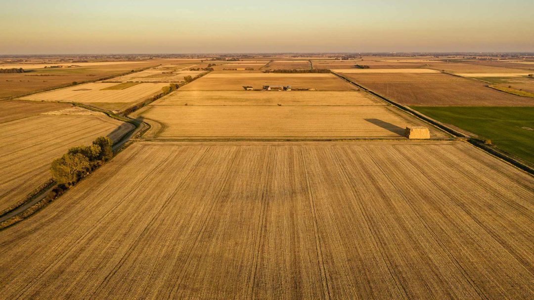 Artensterben: Was Unternehmen jetzt tun müssen - WWF Blog