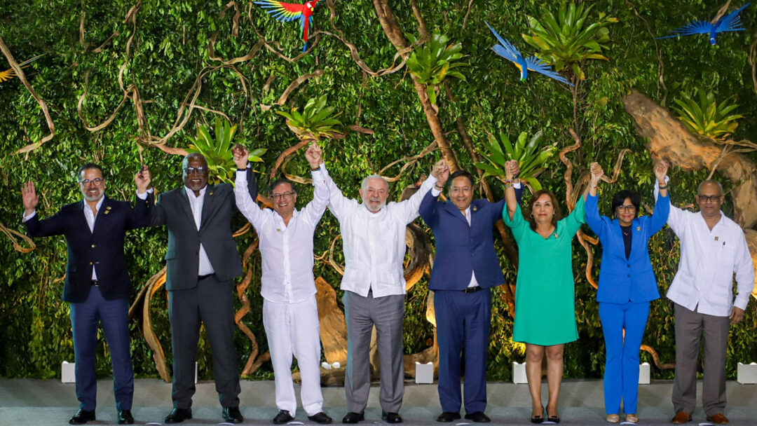 Chance vertan beim Amazonas-Gipfel! - WWF Blog