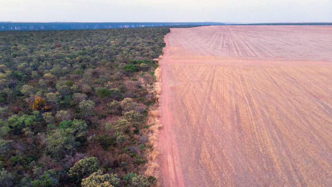 Chance vertan beim Amazonas-Gipfel! - WWF Blog